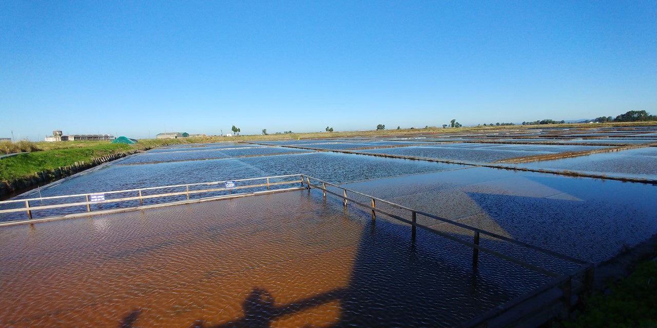 thumbnail_20211104_103933 – ALUMA